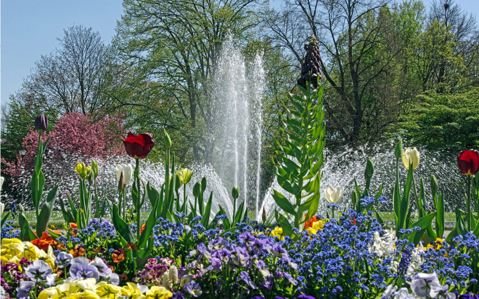 100 Jahre Ebertpark Ludwigshafen: Ein Jahrhundert grüner Oase und ...